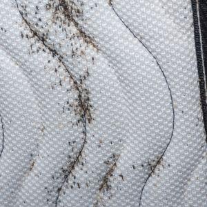 How to Effectively Use Bed Bug Supplies?